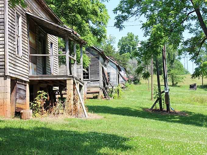 Porches sag with stories untold, while nature creeps closer each season, reclaiming what was borrowed long ago.