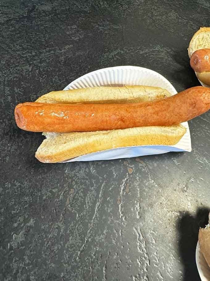 The plain hot dog at Hiram's proves you don't need toppings when the star ingredient is this good.