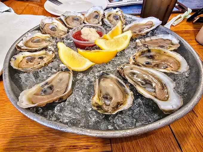 Fresh oysters on ice, ready to transport your taste buds straight to the Carolina coast instantly.