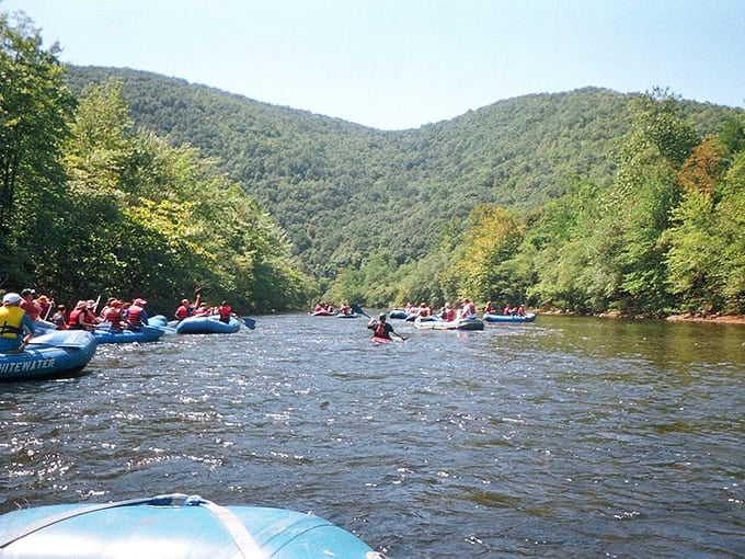 White-water rafting here ranges from gentle floats to legitimate "why did I agree to this" moments.