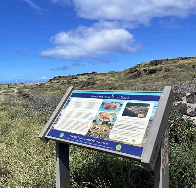 History lessons with a view: learning about the old railroad while waves provide the soundtrack is education at its finest.