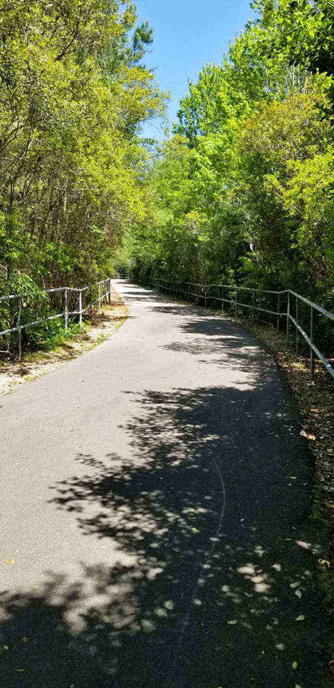 Tree-lined trails invite families to explore beyond the playground, turning a simple outing into a full day of discovery.