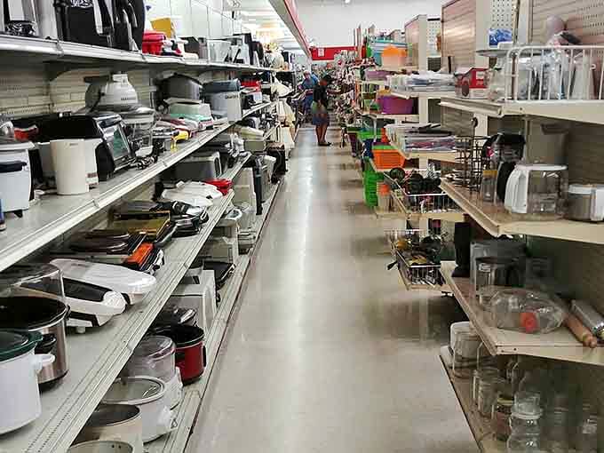 Kitchen gadget wonderland where forgotten appliances find new purpose. Someone's abandoned bread maker is another's culinary revolution.
