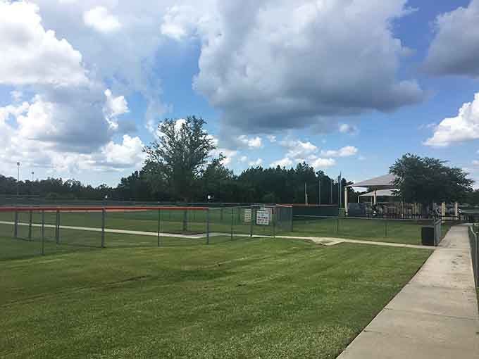 Community sports facilities prove small towns can offer big amenities when residents actually invest in their shared spaces together.