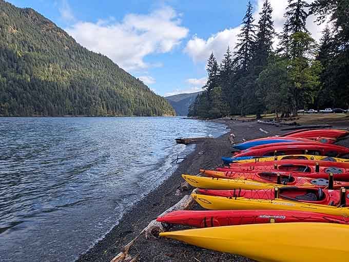 Those colorful kayaks lined up like rainbow candy are your ticket to exploring the bluest water you've ever seen.