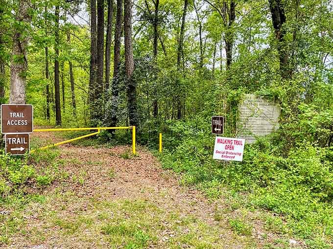 Trail access signs: nature's invitation to stretch your legs without stretching your budget. The best therapy in town is absolutely free.