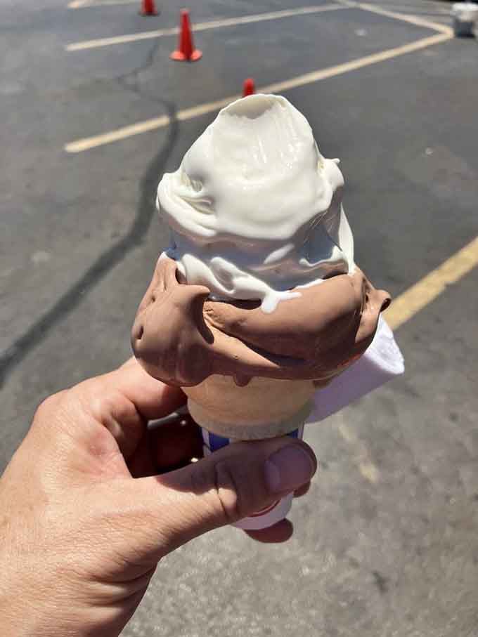 Chocolate and vanilla swirled together in perfect harmony, like a dairy-based yin and yang that actually tastes like heaven.