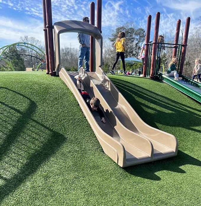 Side-by-side slides where racing your sibling is not just allowed, it's practically mandatory for family bonding.