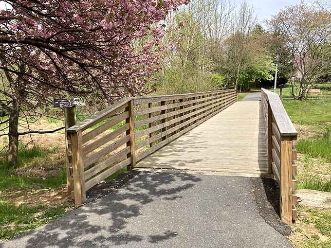 Walking trails that make you forget you're technically exercising, which is the best kind of deception.