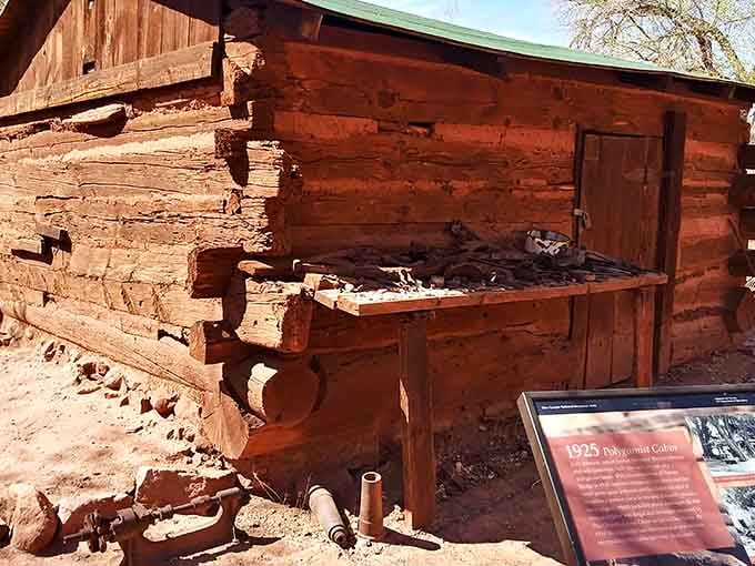 This rustic cabin's weathered logs tell stories of polygamist families making do with less space than modern walk-in closets.