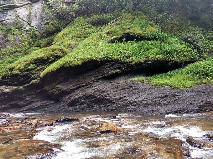 The moss-covered rocks create a scene so lush, even your screensaver is getting jealous right now.