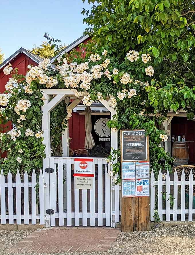 Stolpman Vineyards welcomes you with white picket fences and roses that would make any garden club president weep with joy.