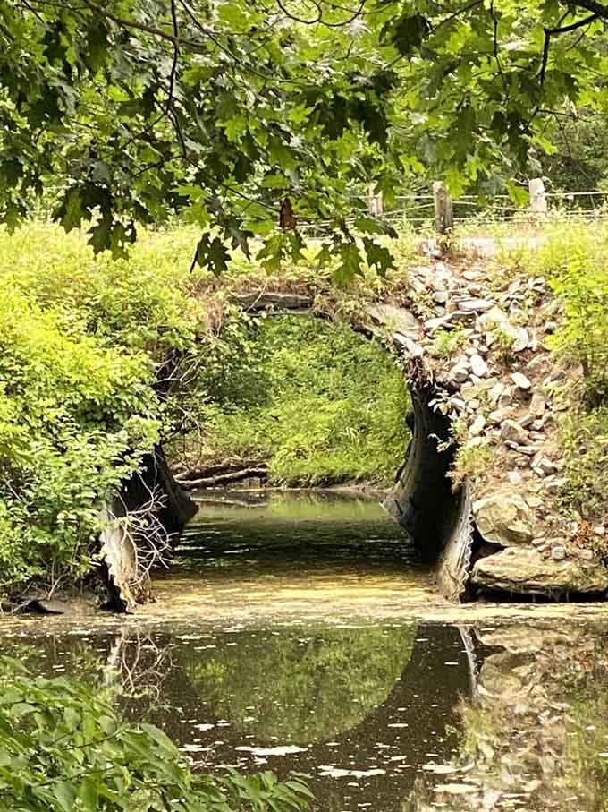 An old tunnel that looks like the entrance to a secret garden or possibly a hobbit's summer home.