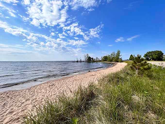 Ludington Park's sandy shores offer that perfect Michigan summer moment—where the Great Lakes pretend they're oceans and nobody argues the point.