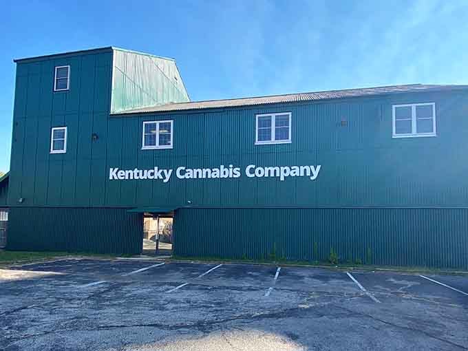Even the cannabis industry gets the historic building treatment here, because Midway commits to its aesthetic completely.