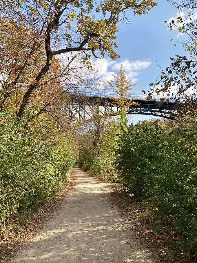 The trail winds through autumn's golden hour, when every leaf becomes a work of art and photographers lose their minds.