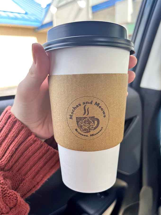 Hot coffee in hand, ready to be your companion while you contemplate which adorable cat will steal your heart today.