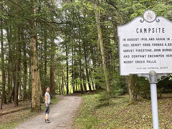 Henry Ford and Thomas Edison camped here in 1918, proving even industrial titans needed nature therapy.