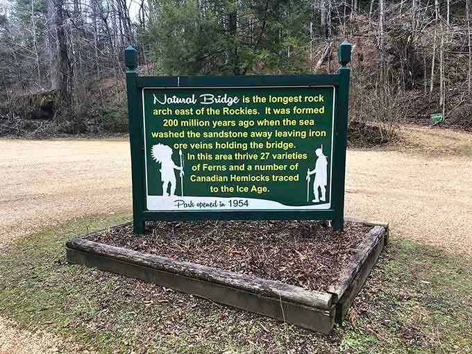 The informational marker shares fascinating facts, though it modestly understates just how mind-blowing this place truly is.