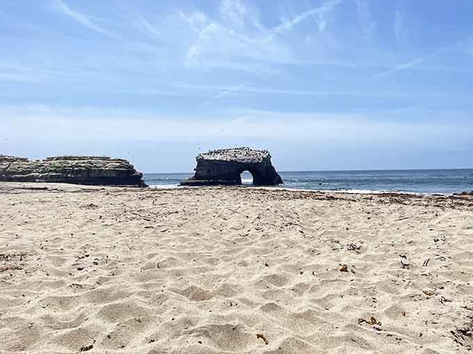 The beach stretches out invitingly, perfect for those who prefer their sand without pebbles or regret.