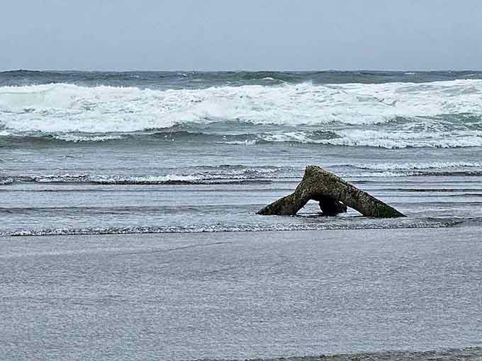 That lonely stump against the waves looks like it's contemplating two thousand years of coastal living.