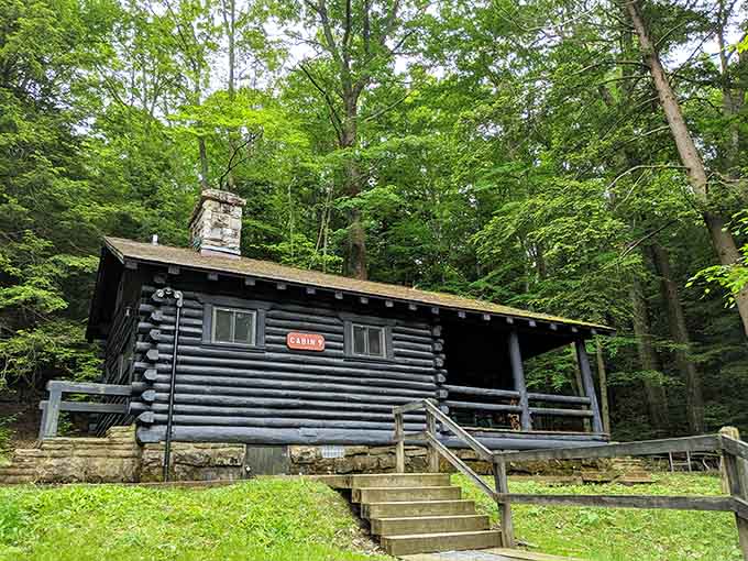 These classic log cabins offer the perfect compromise between "roughing it" and "actually sleeping comfortably."
