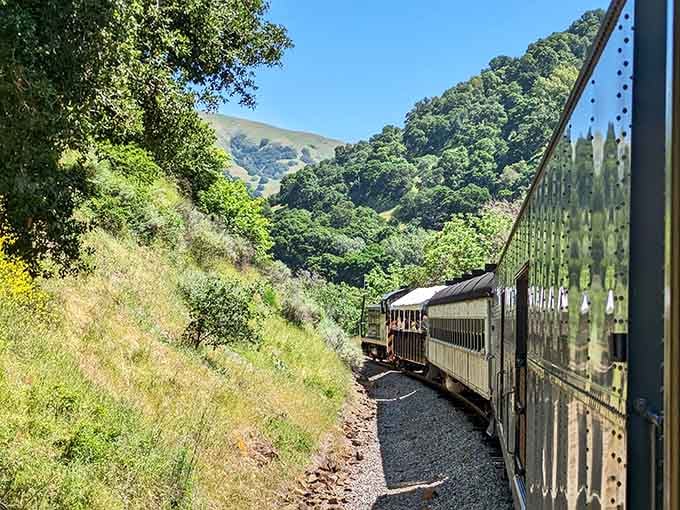 Watching the canyon unfold from your window seat is better than any streaming service, and the signal never drops.