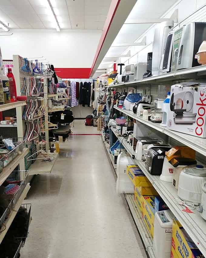 Kitchen appliances and hangers line these shelves in organized chaos, proving one person's clutter is another's goldmine.