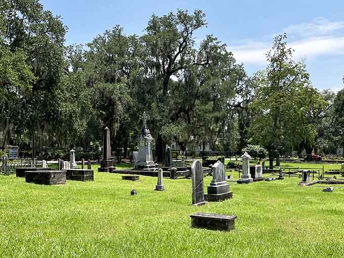 Summer grass grows thick between monuments, nature's way of softening the edges of history's harder truths.