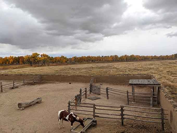 Even the livestock had accommodations at this fort, because running a successful trading post meant taking care of every detail, hooves included.