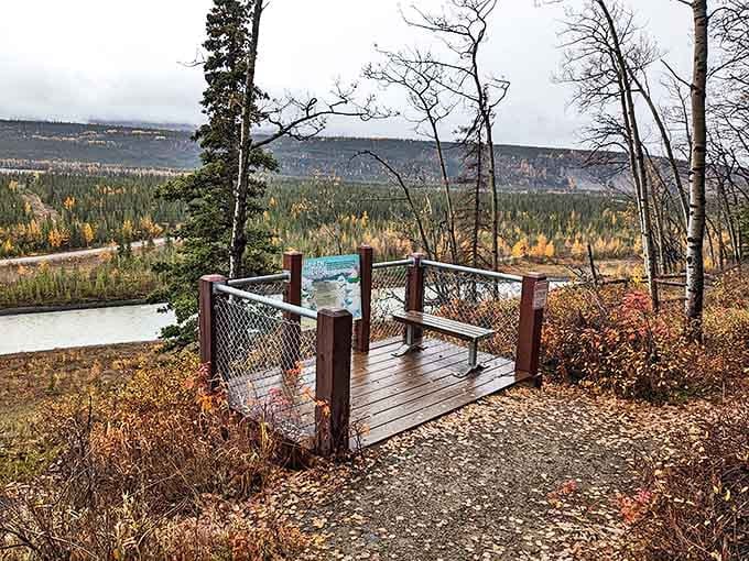 This rustic viewing platform offers the perfect frame for nature's grandeur. It's like Mother Nature installed her own observation deck.