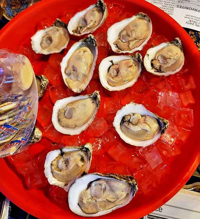 Fresh oysters on ice&mdash;nature's perfect appetizer. These briny treasures need nothing more than a squeeze of lemon and good company to share them with.