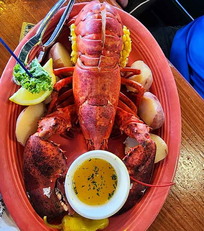 This lobster is so fresh and perfectly prepared, it deserves its own spotlight on that bright pink plate of glory.