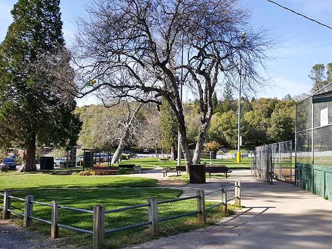 Lions Park provides green space and peaceful moments that don't require a reservation or membership fee to enjoy.