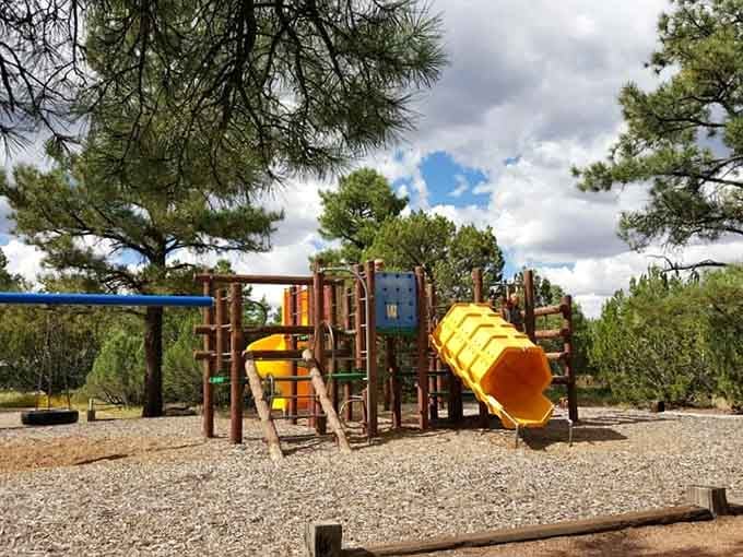 Playground paradise where kids burn energy while parents silently thank the genius who put this here. The pine-scented air beats any indoor play place.
