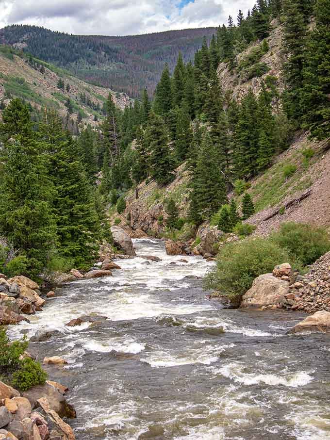 The Cache la Poudre River carves through the landscape like nature's original highway, offering adventure and serenity in equal measure.