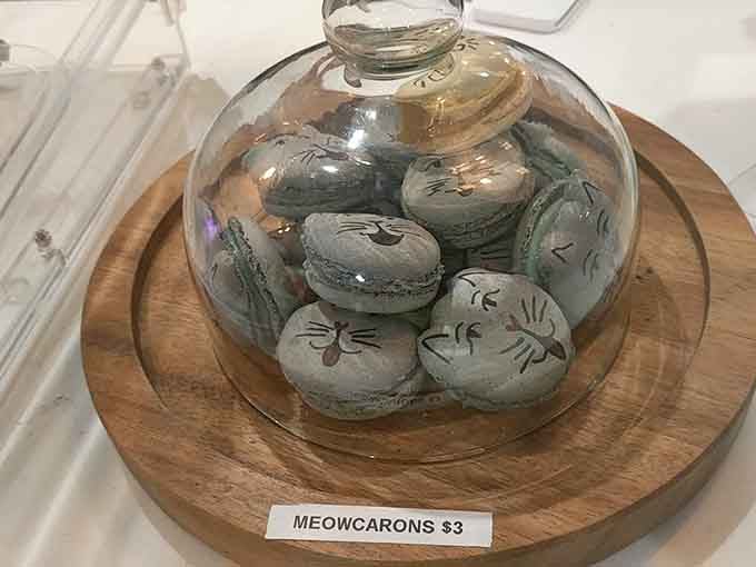 Meowcarons with adorable cat faces are almost too cute to eat, but you absolutely should anyway.