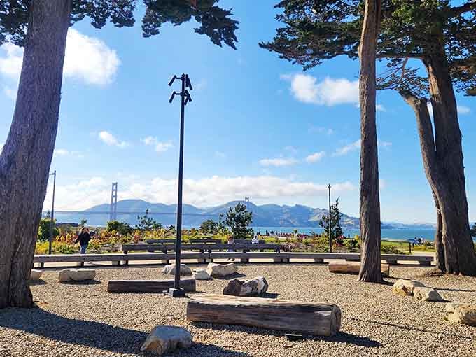 Morning fog rolls through like it's late to an appointment, creating that moody California atmosphere postcards dream about.