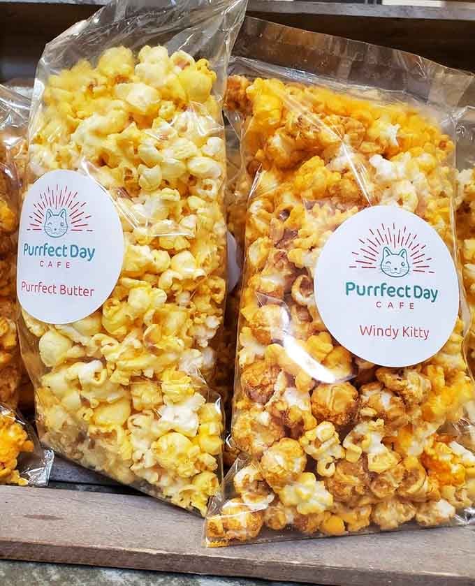 Purrfect Butter and Windy Kitty popcorn flavors &ndash; finally, snacks with names as entertaining as the cats themselves.
