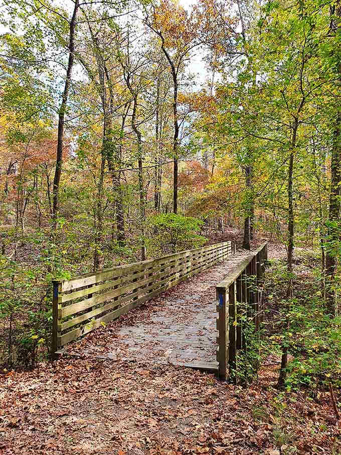 This wooden bridge leads deeper into the forest, where your cell signal dies and your soul comes alive.