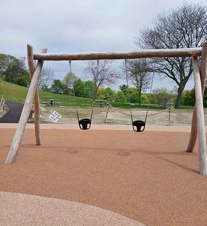 Swings with a view that'll make you wish you were small enough to fit in them again.