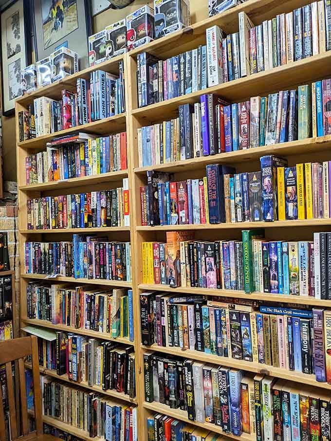 Wall-to-wall shelves create endless browsing opportunities across multiple genres and reading levels for everyone.