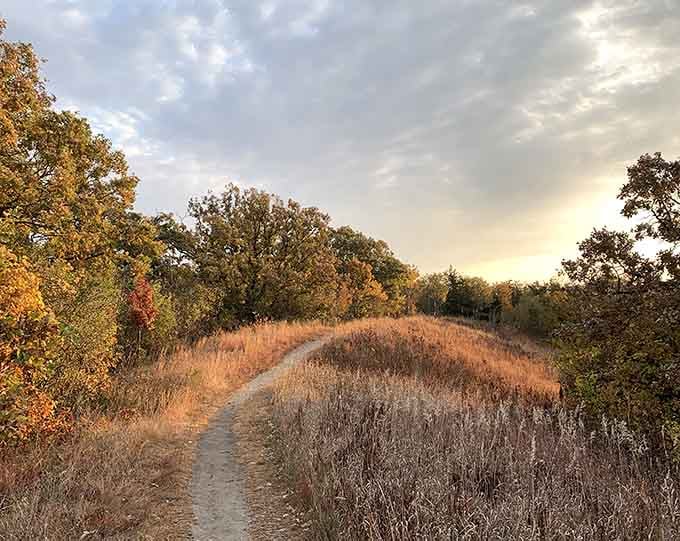 Golden hour on the prairie trail, where the path ahead looks like a postcard that forgot to be boring.