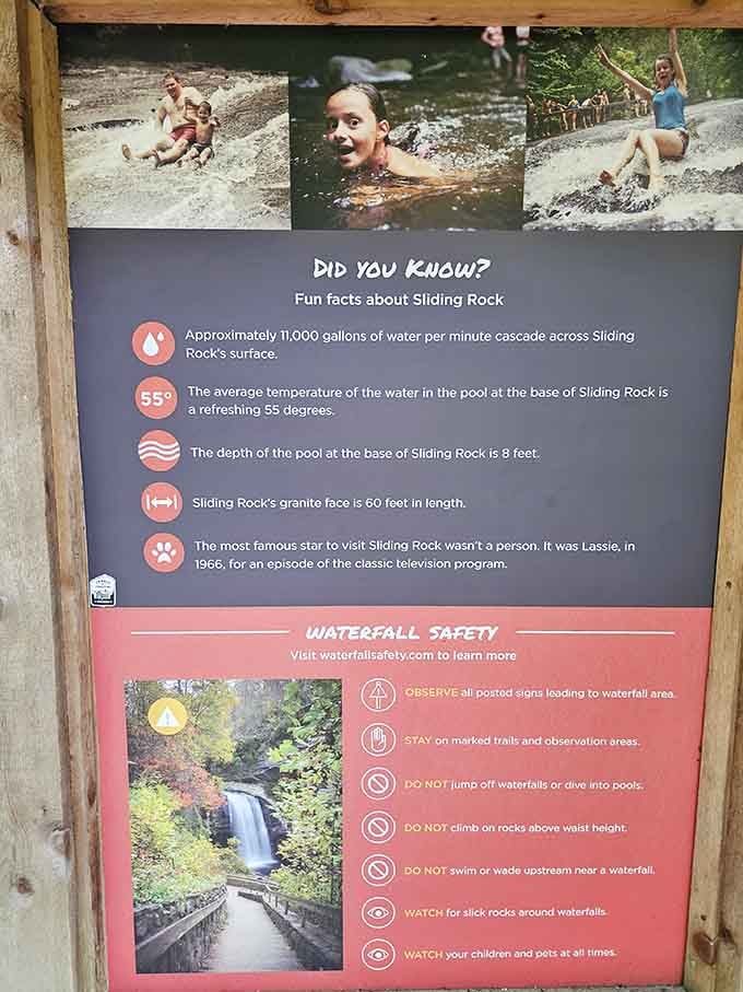 Even Lassie knew a good time when she saw one, visiting this iconic spot back in 1966.