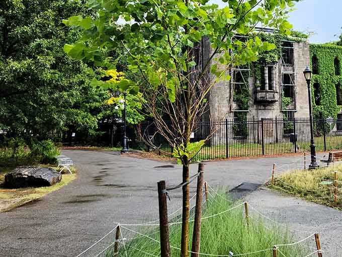 The pathway to the ruins feels like a journey backward through time, minus the DeLorean.