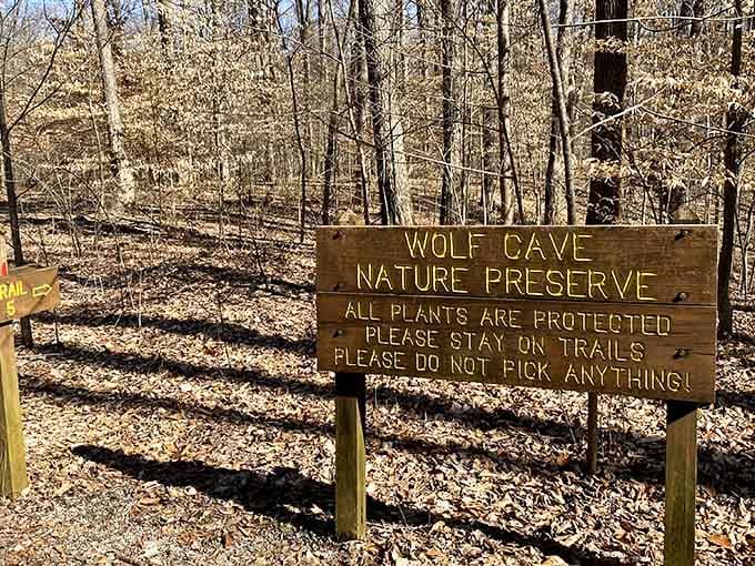 Wolf Cave Nature Preserve protects delicate ecosystems where staying on the trail actually matters for once.