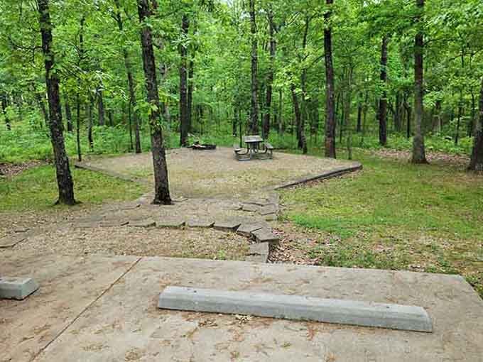 Your next family picnic spot awaits in this peaceful forest clearing, no reservation required.
