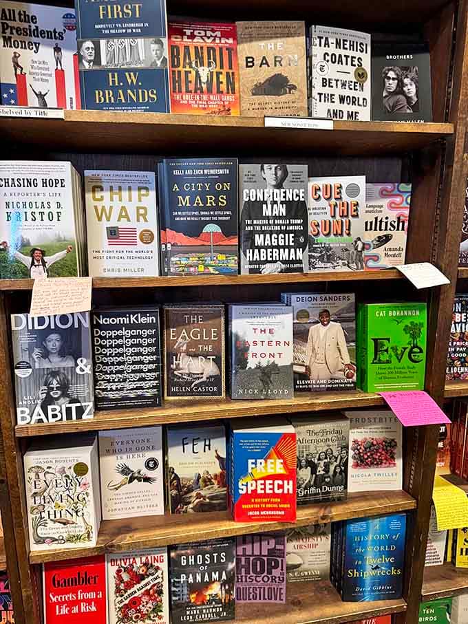Current bestsellers and timeless classics coexist peacefully, proving that good stories never really go out of style after all.