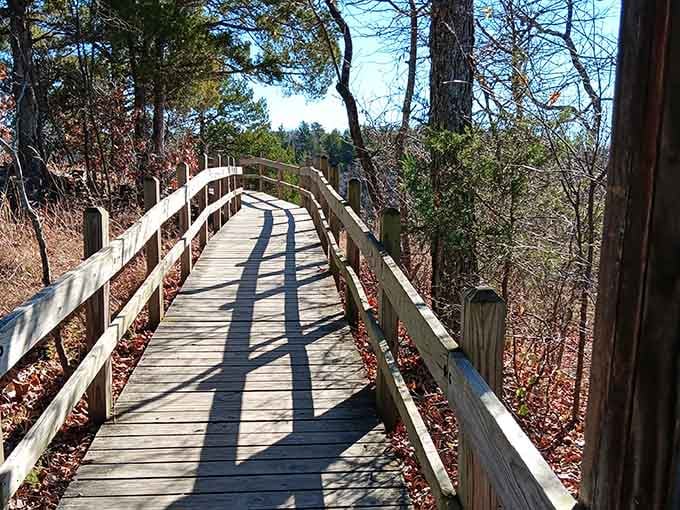 The curved boardwalk through the woods feels like nature's own red carpet, just with more splinters and better views.