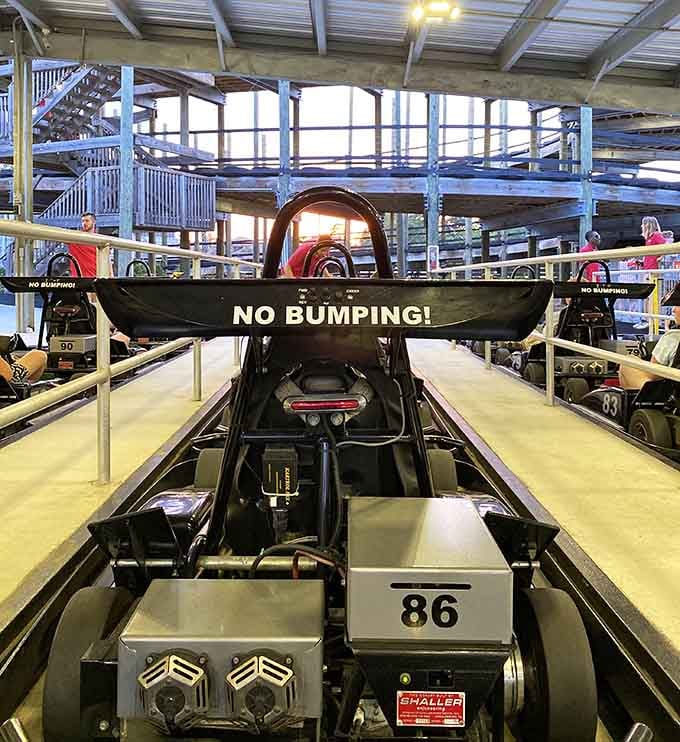 That "NO BUMPING!" sign is doing some serious heavy lifting, because let's be honest, bumping is half the fun.